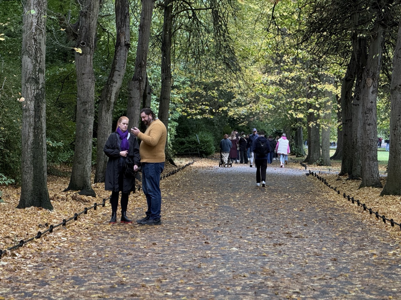 How to Settle in Ireland - Onebounce Pune